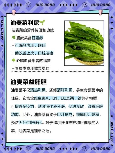 油麦菜的功效与作用有哪些_油麦菜怎么吃最营养-第1张图片-山城妙识