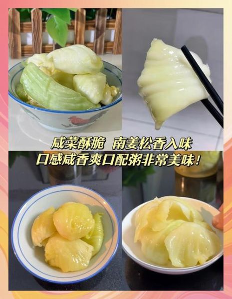 潮州冬菜怎么腌制_潮州冬菜做法大全-第1张图片-山城妙识