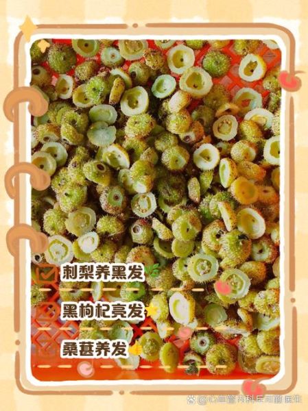 白头发多吃什么调理_白发变黑吃什么食物-第2张图片-山城妙识