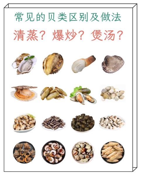 海鲜图片大全及名称_如何快速识别常见海鲜-第3张图片-山城妙识