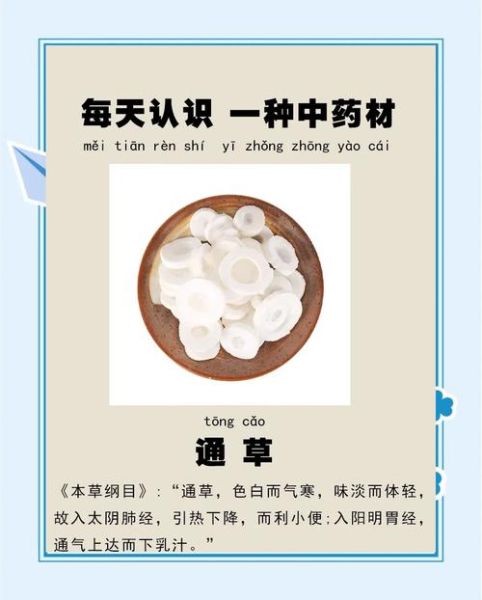 通草的功效与作用_通草的副作用有哪些-第1张图片-山城妙识 通草的功效与作用_通草的副作用有哪些-第1张图片-山城妙识