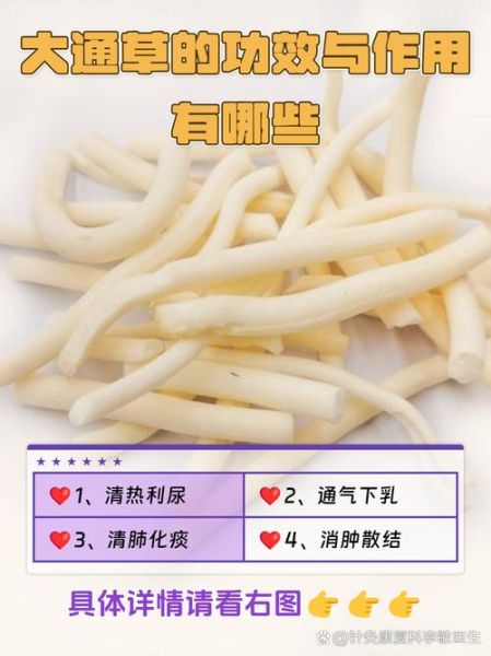 通草的功效与作用_通草的副作用有哪些-第2张图片-山城妙识 通草的功效与作用_通草的副作用有哪些-第2张图片-山城妙识