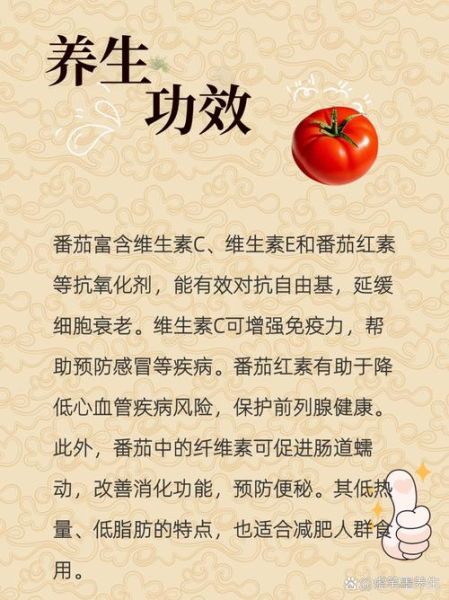 西红柿的功效与作用及禁忌_西红柿吃多了有什么坏处-第1张图片-山城妙识