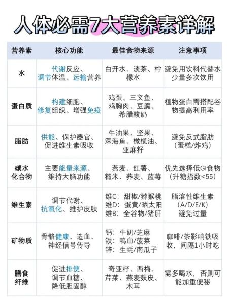 营养素是什么_人体必需营养素有哪些-第2张图片-山城妙识