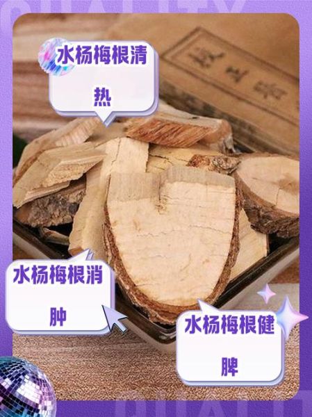 水杨梅根的功效与作用_水杨梅根怎么使用-第1张图片-山城妙识 水杨梅根的功效与作用_水杨梅根怎么使用-第1张图片-山城妙识