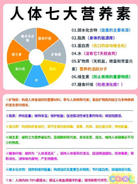 营养素是什么_人体必需营养素有哪些-第1张图片-山城妙识