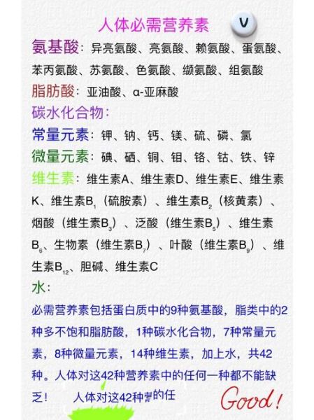 营养素是什么_人体必需营养素有哪些-第3张图片-山城妙识