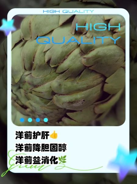 洋蓟草本茶的功效与作用_适合什么人喝-第1张图片-山城妙识