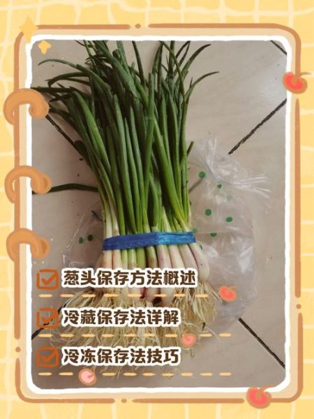 小葱头怎么保存_小葱头做法大全-第1张图片-山城妙识 小葱头怎么保存_小葱头做法大全-第1张图片-山城妙识