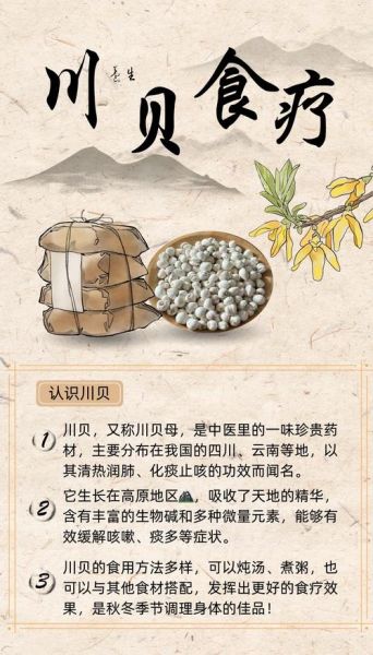 川贝炖瘦肉的功效_川贝炖瘦肉适合什么人吃-第1张图片-山城妙识 川贝炖瘦肉的功效_川贝炖瘦肉适合什么人吃-第1张图片-山城妙识