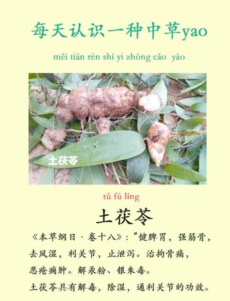土茯苓泡水喝的功效与作用_土茯苓泡水可以天天喝吗-第1张图片-山城妙识