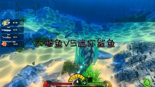 鲨鱼视频怎么赚钱_鲨鱼视频安全吗-第2张图片-山城妙识 鲨鱼视频怎么赚钱_鲨鱼视频安全吗-第2张图片-山城妙识