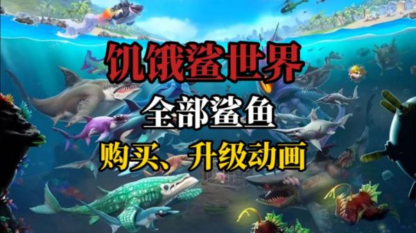 鲨鱼视频怎么赚钱_鲨鱼视频安全吗-第1张图片-山城妙识 鲨鱼视频怎么赚钱_鲨鱼视频安全吗-第1张图片-山城妙识