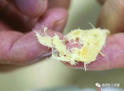 肉松是不是棉花_如何辨别真假肉松-第3张图片-山城妙识