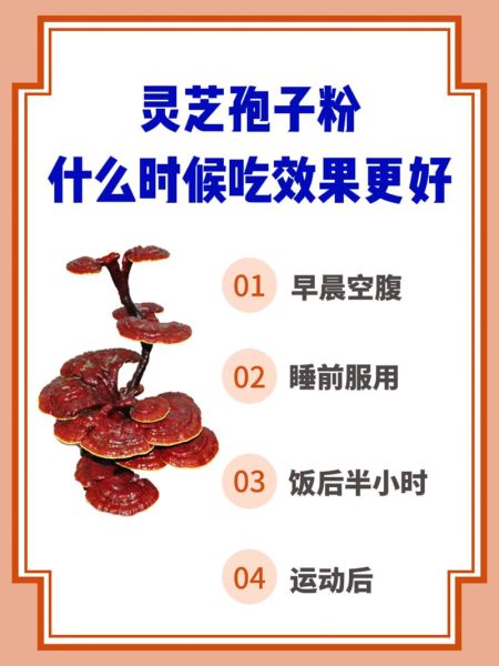 灵芝孢子粉饭前吃还是饭后吃_最佳服用时间-第1张图片-山城妙识 灵芝孢子粉饭前吃还是饭后吃_最佳服用时间-第1张图片-山城妙识