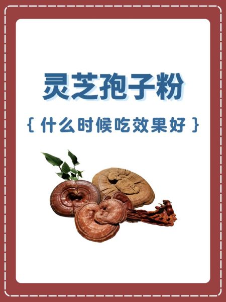 灵芝孢子粉饭前吃还是饭后吃_最佳服用时间-第2张图片-山城妙识 灵芝孢子粉饭前吃还是饭后吃_最佳服用时间-第2张图片-山城妙识
