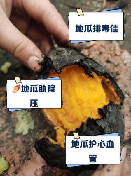 地瓜的功效与作用_地瓜减肥怎么吃-第2张图片-山城妙识