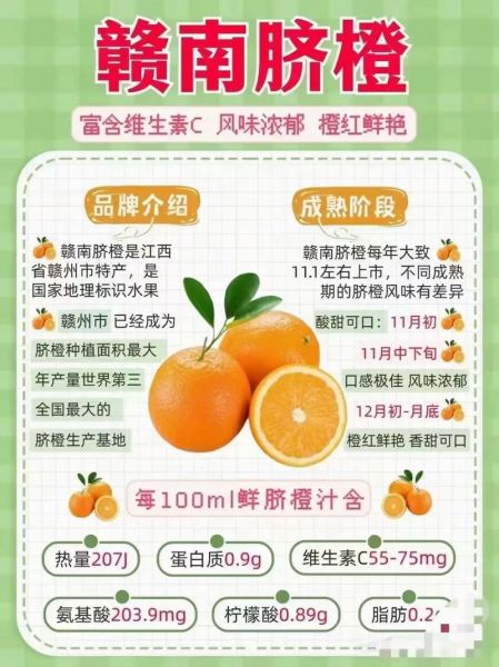 橙子上火吗_橙子一天吃几个合适-第3张图片-山城妙识