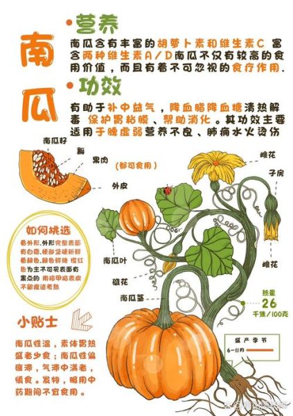 吃南瓜有什么好处_南瓜的功效与作用-第1张图片-山城妙识