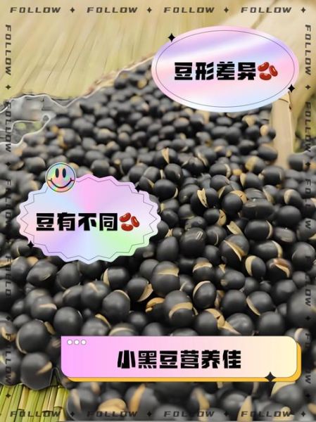 大黑豆好还是小黑豆好_区别与选购指南-第2张图片-山城妙识