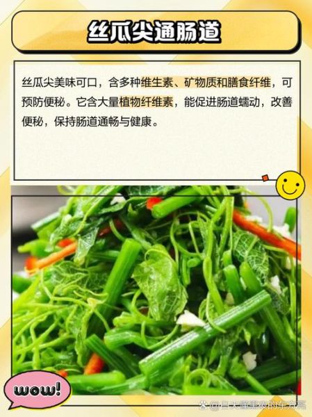 丝瓜头的功效与作用_丝瓜头怎么入药-第1张图片-山城妙识