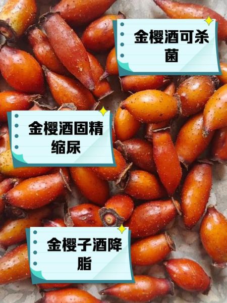 金樱子有什么功效_金樱子怎么吃效果最好-第1张图片-山城妙识