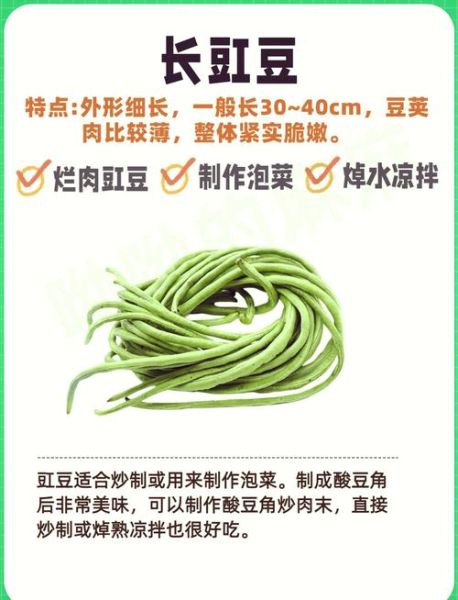 蛇豆角怎么炒好吃_蛇豆角的家常做法-第3张图片-山城妙识