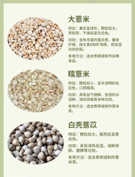 薏米粉的功效与作用_薏米粉的禁忌人群有哪些-第1张图片-山城妙识