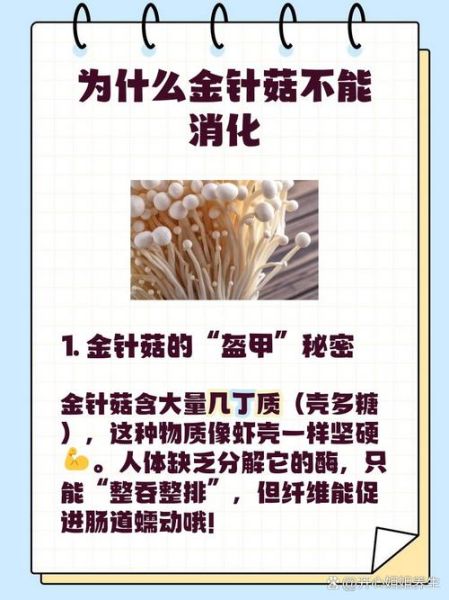 金针菇有毒吗_金针菇为什么叫see you tomorrow-第1张图片-山城妙识 金针菇有毒吗_金针菇为什么叫see you tomorrow-第1张图片-山城妙识