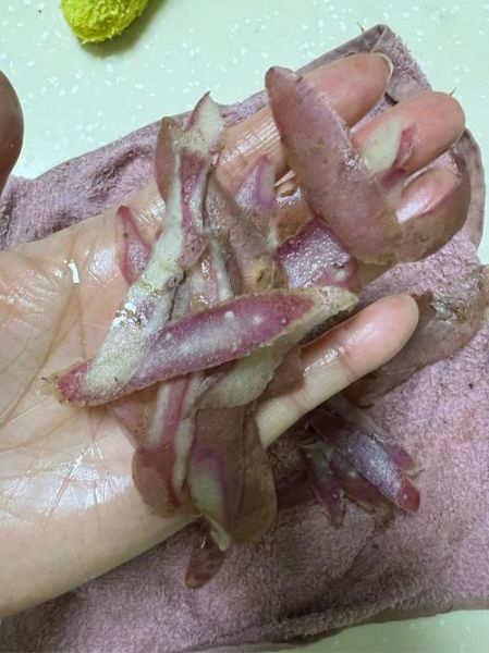 土豆直播怎么开直播_土豆直播靠什么赚钱-第2张图片-山城妙识