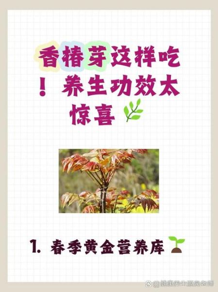 香椿不用开水烫有毒吗_香椿不焯水能吃吗-第1张图片-山城妙识