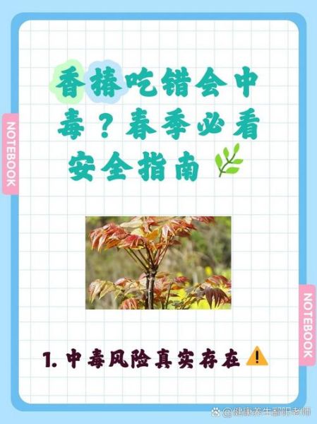 香椿不用开水烫有毒吗_香椿不焯水能吃吗-第3张图片-山城妙识