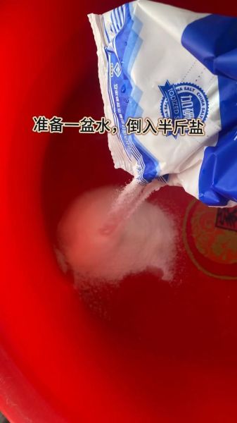 泡甜蒜怎么做_泡甜蒜的详细步骤-第3张图片-山城妙识