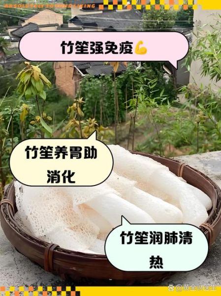 竹笙是什么_竹笙的功效与作用-第1张图片-山城妙识