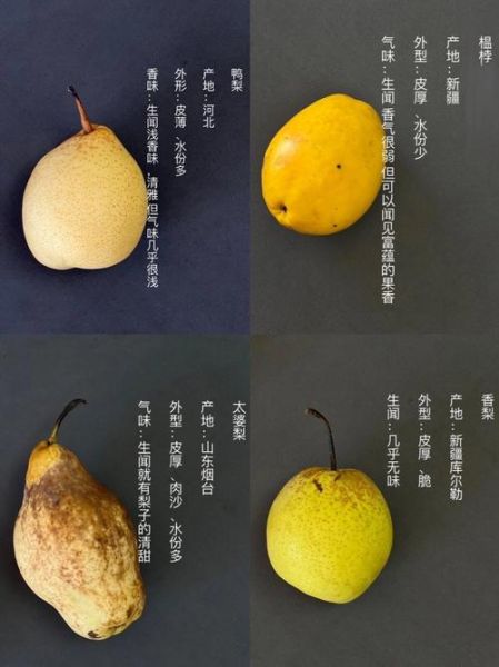 雪梨在超市叫什么梨_雪梨和鸭梨的区别-第2张图片-山城妙识