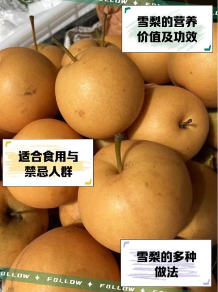 雪梨在超市叫什么梨_雪梨和鸭梨的区别-第3张图片-山城妙识