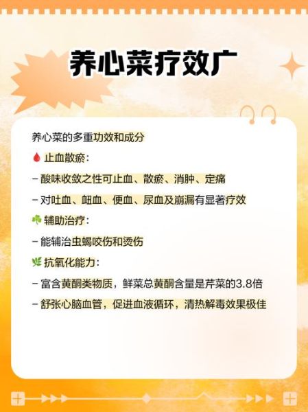 养心菜的功效与作用_养心菜怎么吃最好-第3张图片-山城妙识 养心菜的功效与作用_养心菜怎么吃最好-第3张图片-山城妙识