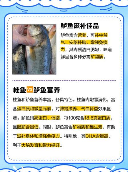 鱼的营养价值排名前十位_哪种鱼最补脑-第1张图片-山城妙识