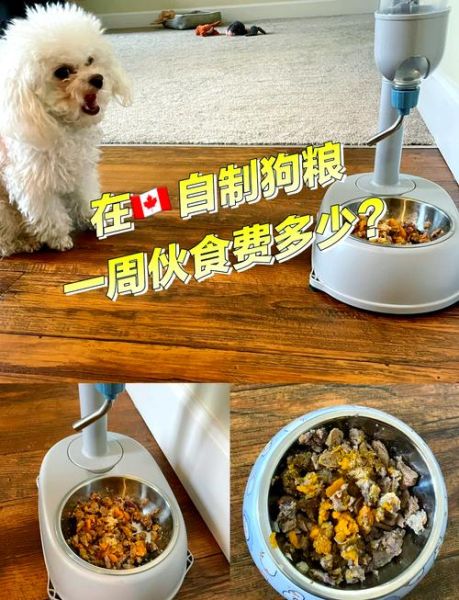 自制狗粮的做法_狗狗吃什么最健康-第3张图片-山城妙识