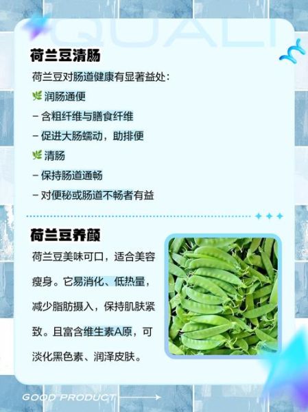 荷兰豆的营养价值_荷兰豆的禁忌人群-第2张图片-山城妙识