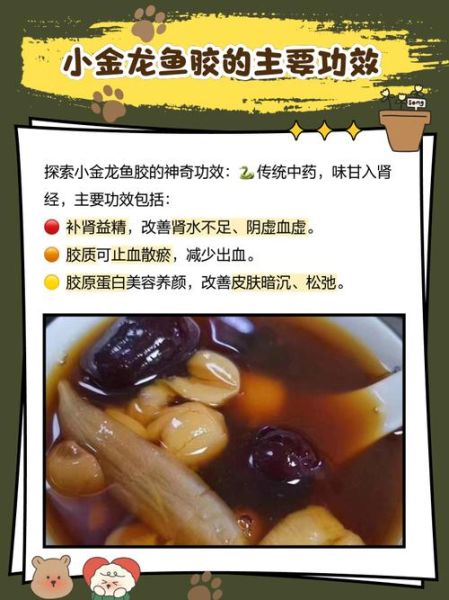 金龙鱼胶的功效与作用_适合什么人吃-第1张图片-山城妙识