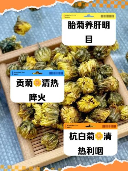 杭白菊和胎菊哪个好_降火效果对比-第1张图片-山城妙识