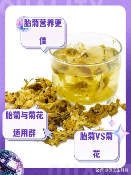 杭白菊和胎菊哪个好_降火效果对比-第2张图片-山城妙识