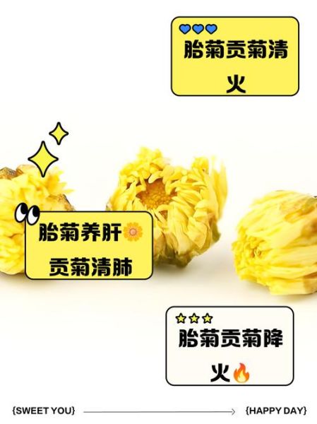 杭白菊和胎菊哪个好_降火效果对比-第3张图片-山城妙识