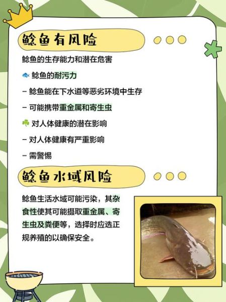 鲶鱼为什么不能吃_鲶鱼有毒吗-第2张图片-山城妙识