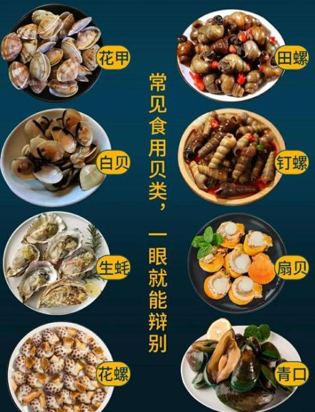 贝壳类海鲜名称对照表_常见贝类怎么区分-第3张图片-山城妙识