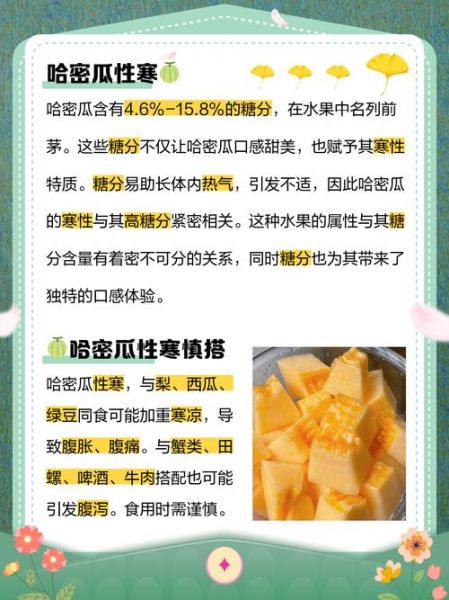 哈蜜瓜是温性还是寒_哈蜜瓜吃多了会上火吗-第1张图片-山城妙识