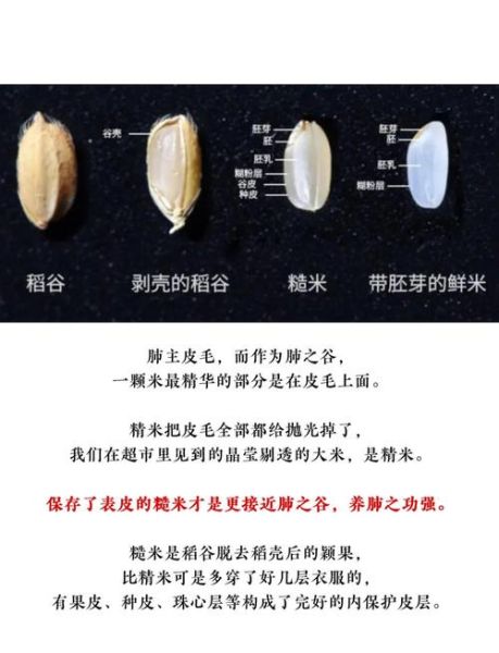 炒糙米茶的功效与作用_炒糙米茶怎么喝才减肥-第3张图片-山城妙识