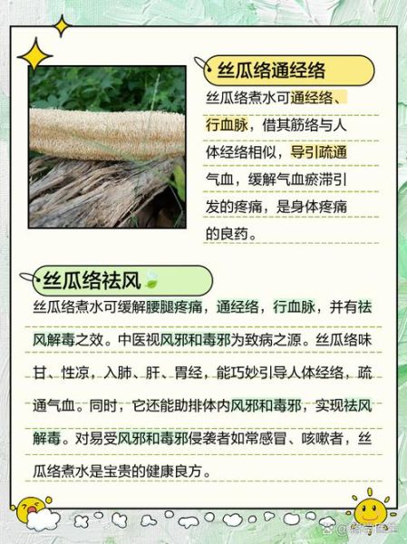 丝瓜络泡酒的功效与作用_丝瓜络泡酒能治什么病-第1张图片-山城妙识