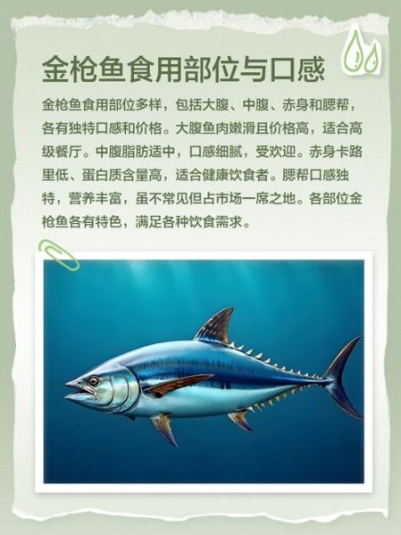 金枪鱼图片价格_如何辨别品质-第3张图片-山城妙识